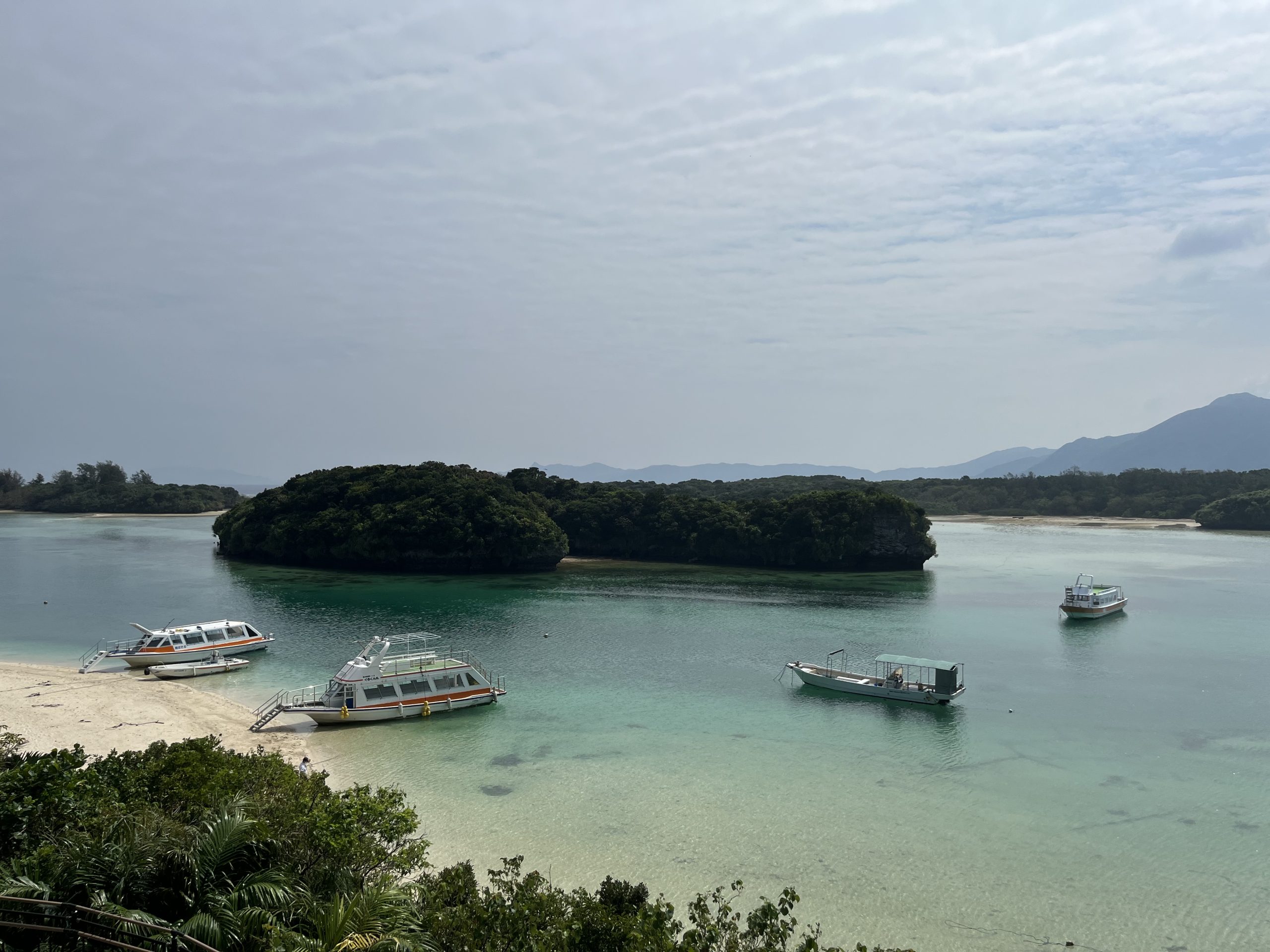 Okinawa Winter Guide: 5 Things to Do
